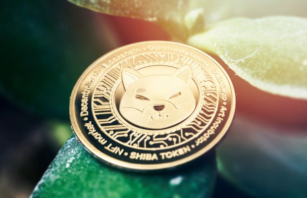 How to Get Started with Memecoin Trading | Coin Hint